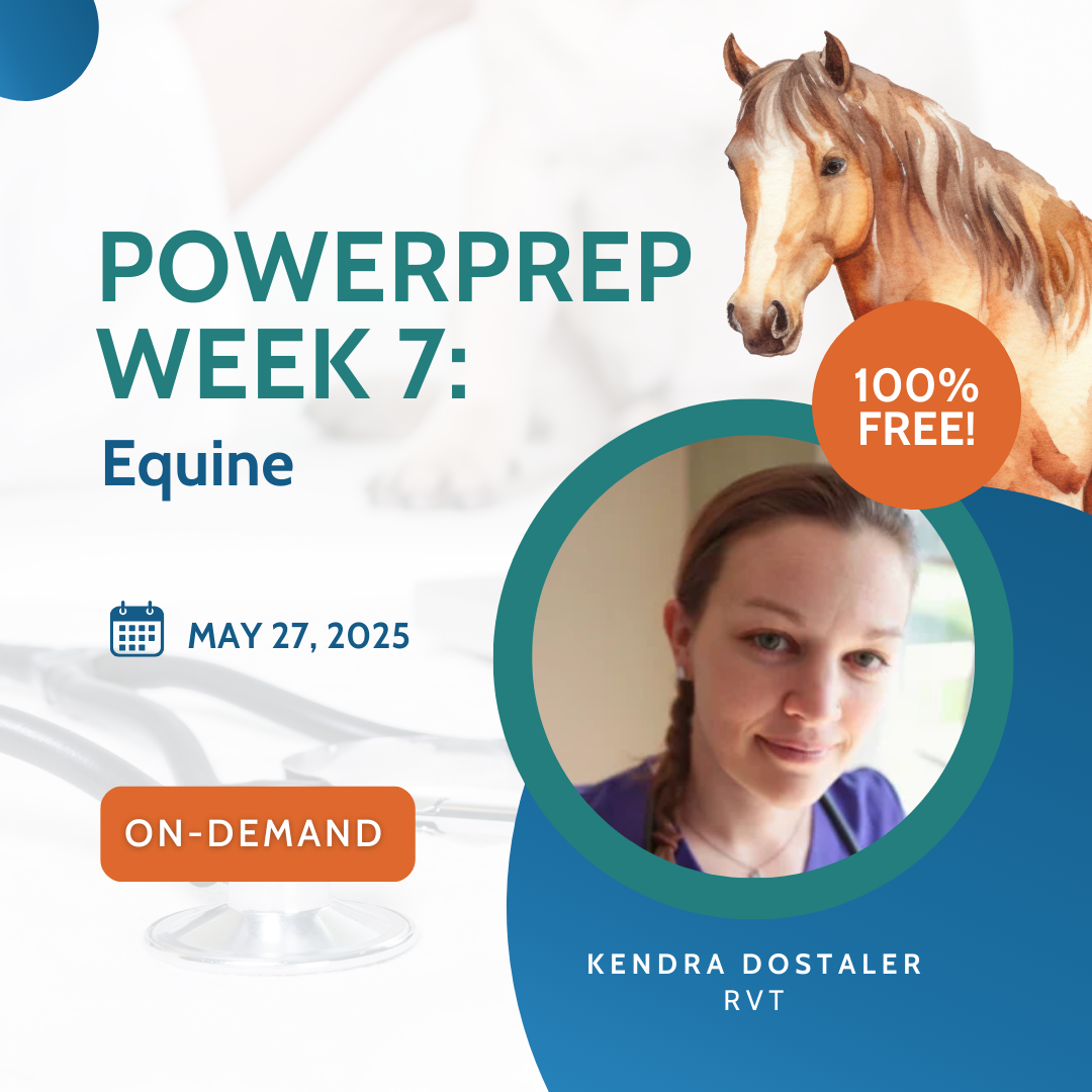 VetTechPrep PowerPrep (Homepage 2025)